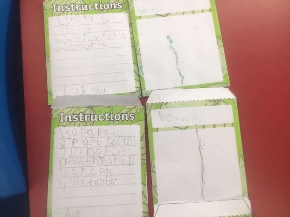 Seed Packets - Instructions | Stratford St Mary Primary School | Suffolk